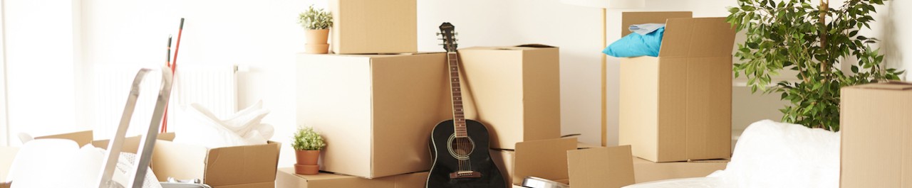 8 Things to Know Before Moving to Texas | Constellation